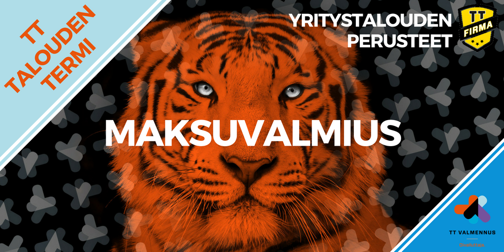 TT Talouden Termi: maksuvalmius - Thoughtleaders.fi
